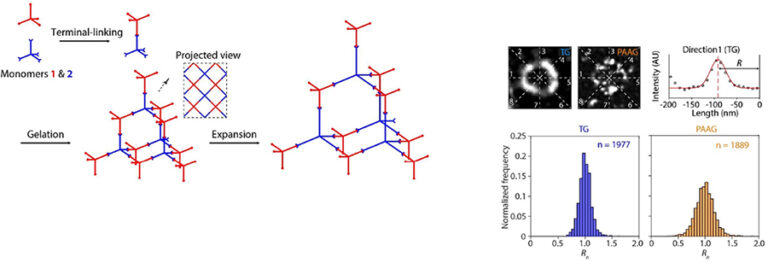 A highly homogeneous polymer composed of tetrahedron-like monomers for ...