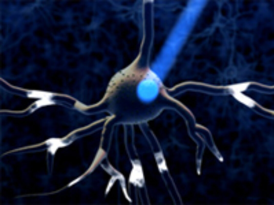 ArchT: light-sensitive archaerhodopsin - Synthetic Neurobiology Group